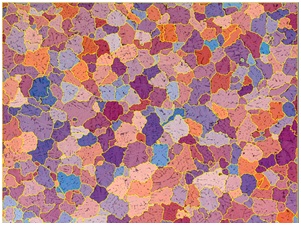 A simple ABC s of Image Processing - Online Solutions